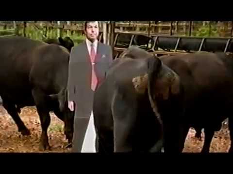 KODE 10pm News, October 21, 2010