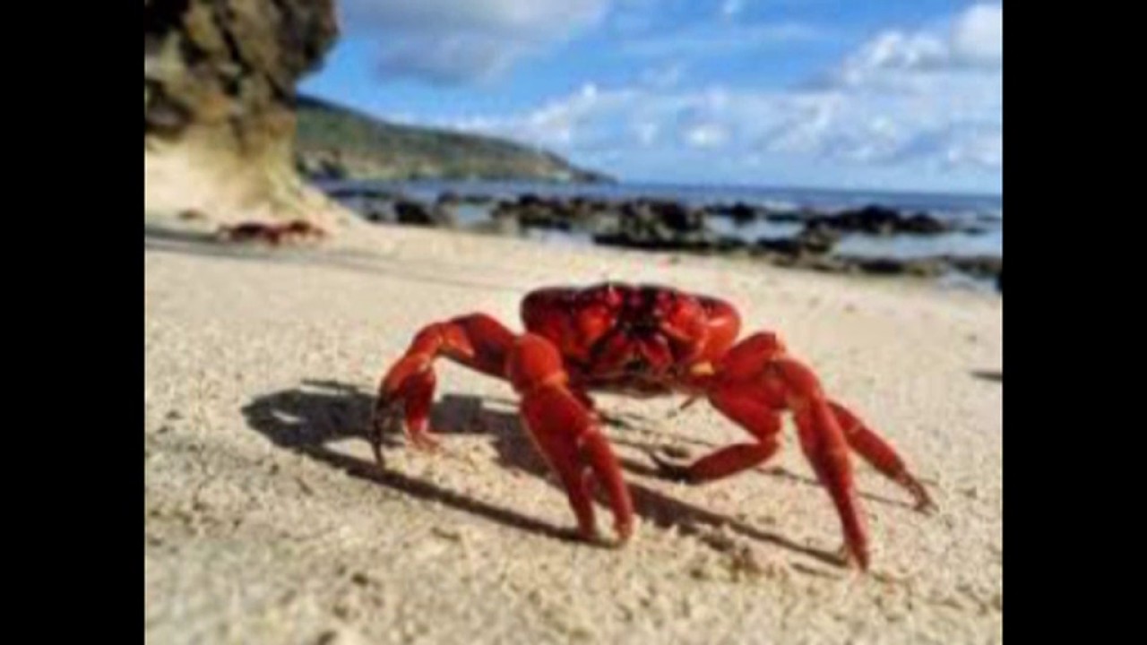 1ST TERM BASIC SCIENCE LESSON 002