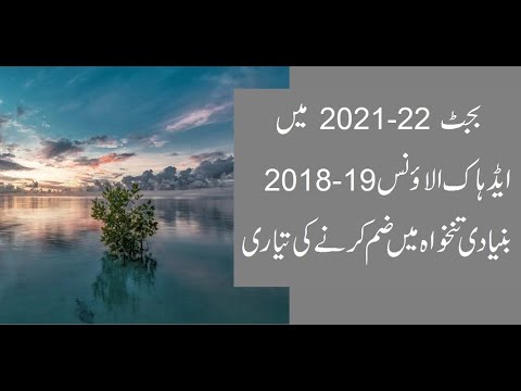 Adhoc relief allowance 2018-19 merge in Basic Salary.