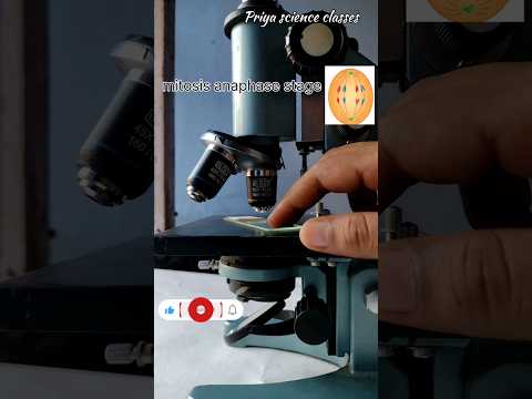 mitosis anaphase stage ki microscope se dekhne pr kesa dikhta hai 😱🔬🤯 #viral #biology#trend#trending
