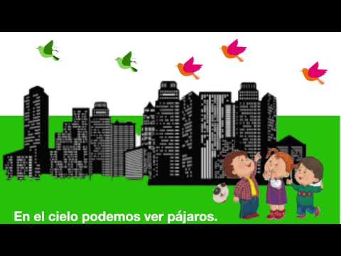 What do you see in the sky?—birds, airplane, clouds, Spanish beginners, basic Spanish foundations