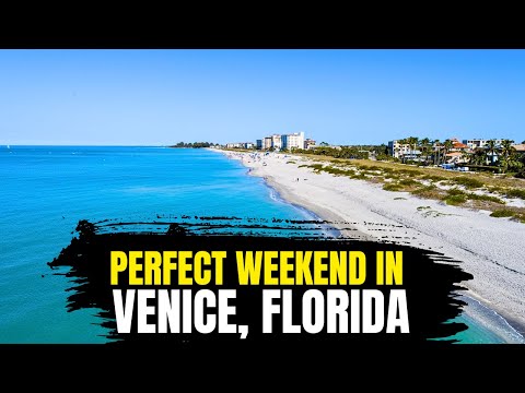 Why Venice Florida Is Perfect for a Laid Back Weekend Getaway?