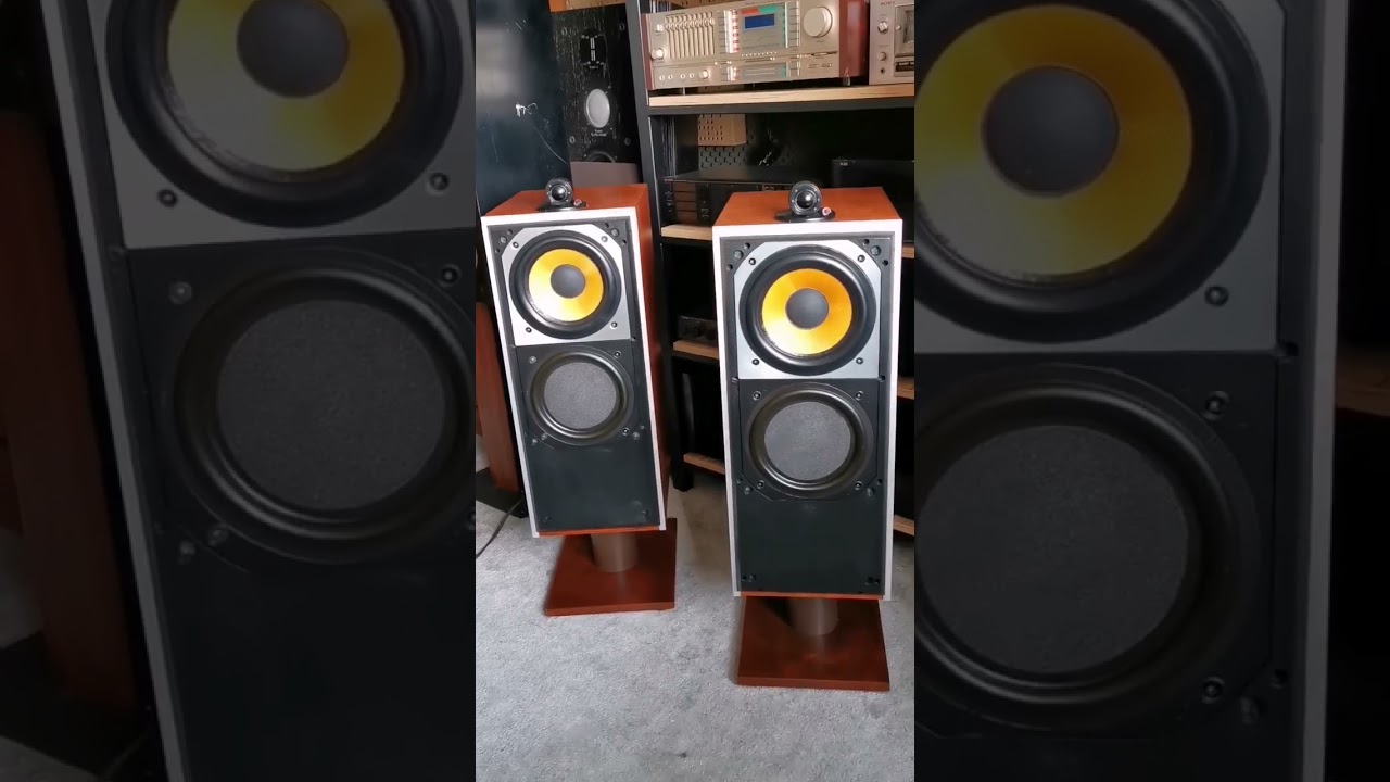 Bowers Wilkins DM7