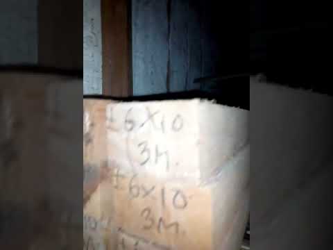 kayu balok ukuran 3 * 10 panjang 3 meter