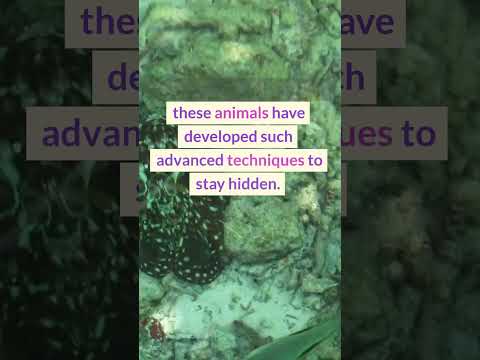 Animals with REAL LIFE SUPER POWERS! #shorts #curiosity