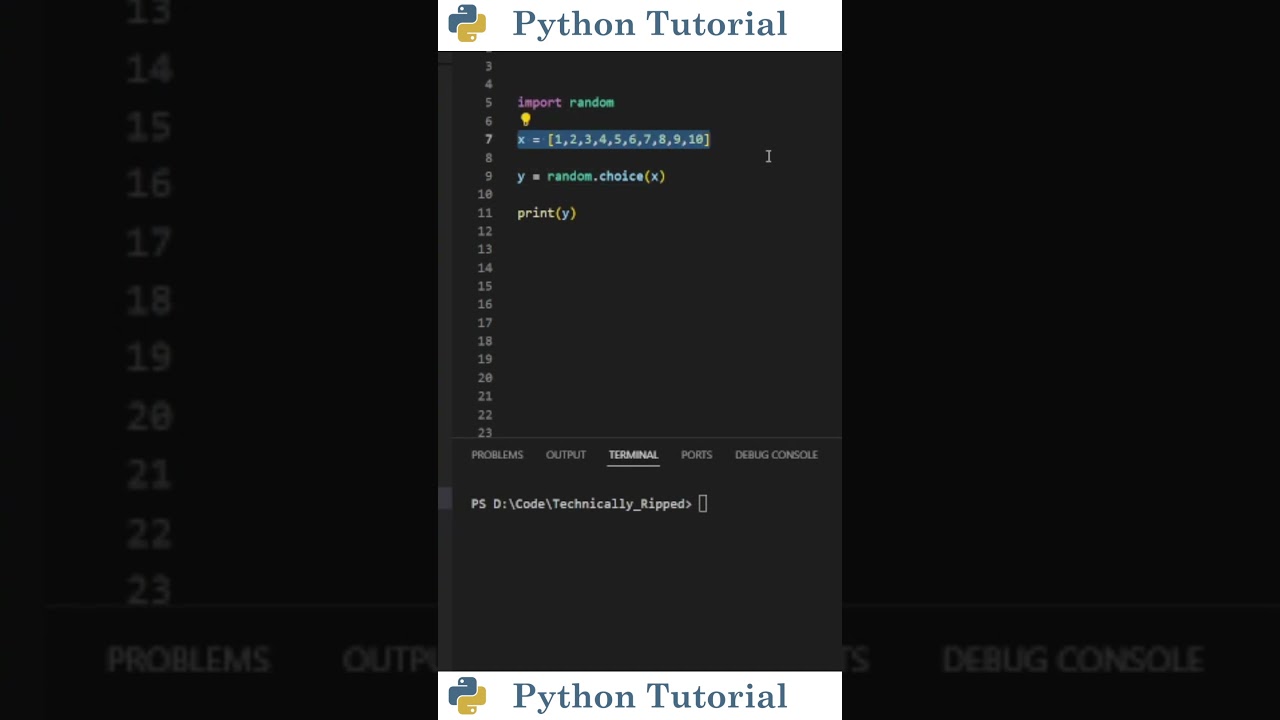 Picking Random Item From A List In Python | Python Tutorial
