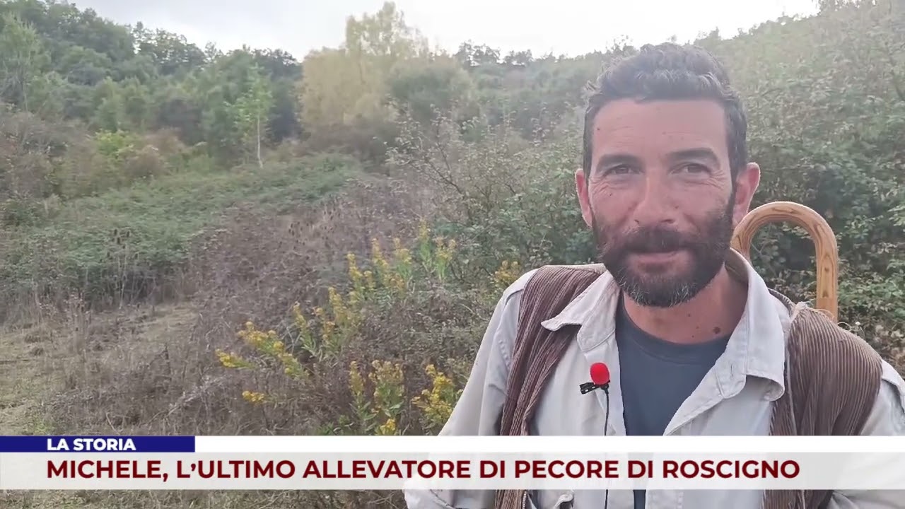 LA STORIA. MICHELE, L’ULTIMO ALLEVATORE DI PECORE DI ROSCIGNO - Video