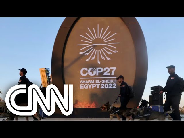 Comitiva de Lula na COP27 terá Janja, Marina, Tebet, Haddad, Amorim e aliados | CNN Brasil