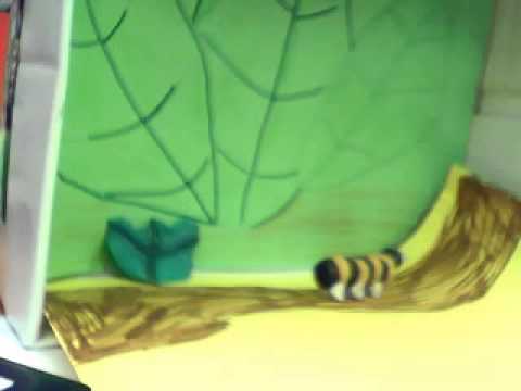 St Thomas More A caterpillars life. By Alana Reid and Brian Levens
