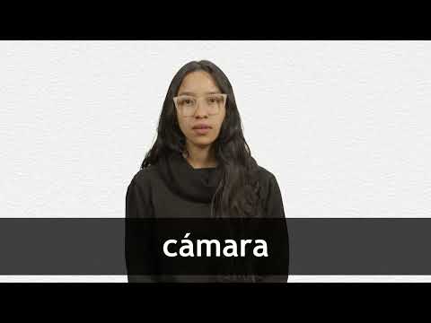 English Translation of “CÁMARA” | Collins Spanish-English Dictionary