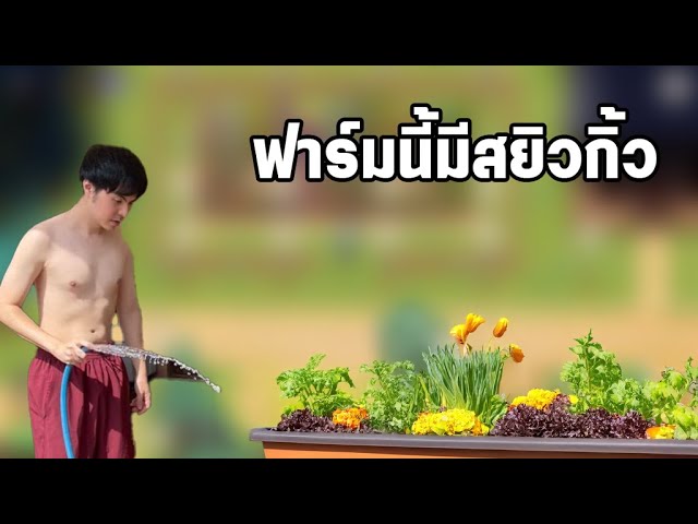 คลิปเก่า Village rhapsody เกมทำฟาร์มผู้ใหญ่ | วิดีโอครีเอเตอร์ :: OS