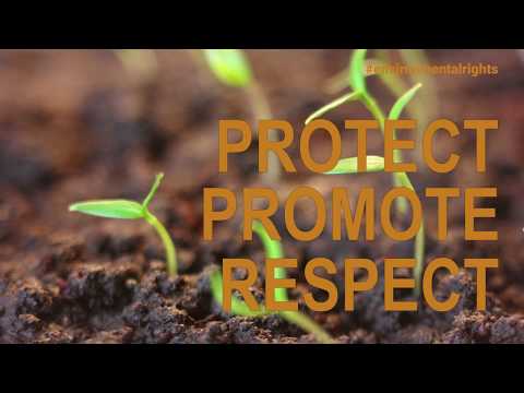 Environmental Rights Initiative