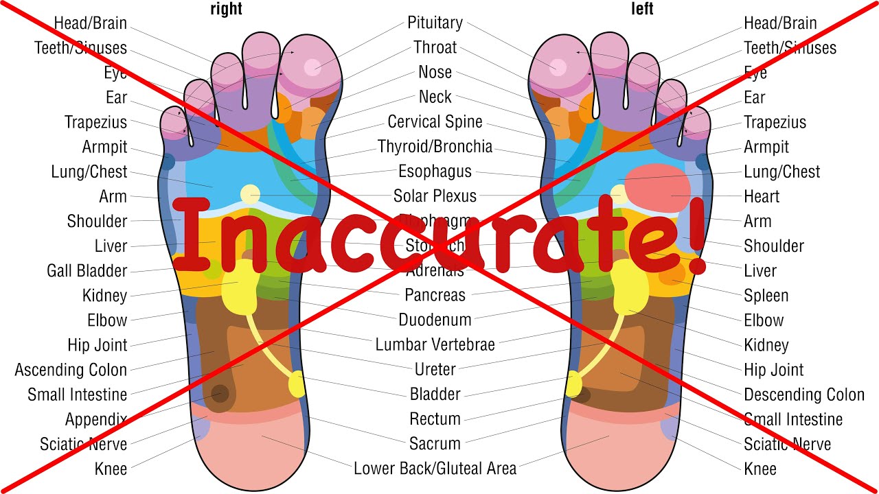 The Most Accurate Foot Reflexology Chart