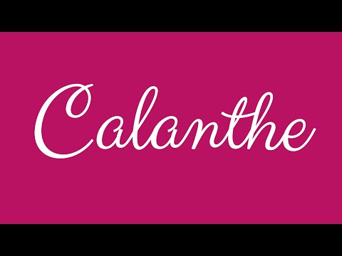 Learn how to Sign the Name Calanthe Stylishly in Cursive Writing