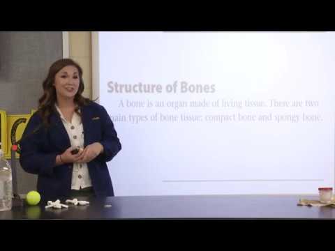 7th Grade Science 041520