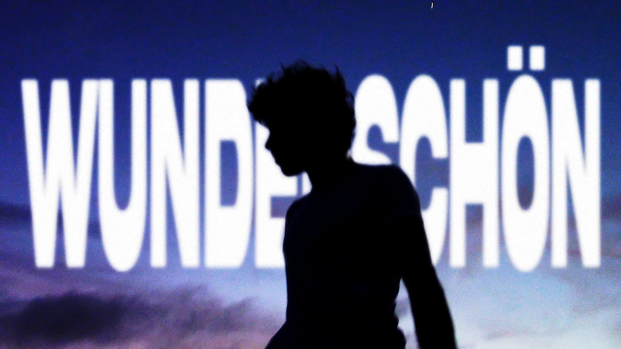 Lyrics & Translations of WUNDERSCHÖN by Zartmann | Popnable