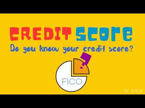Morty the Mortgage Guy - Credit | NOVA® Home Loans