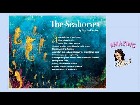 Poetry Lesson #2 Video
