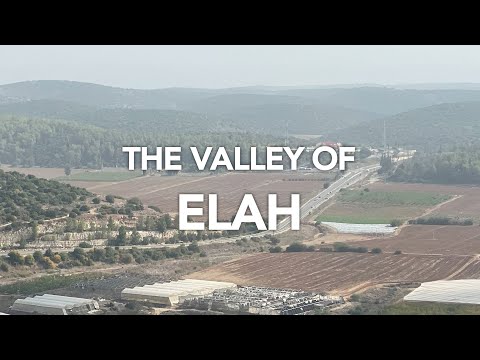 The Valley Of Elah