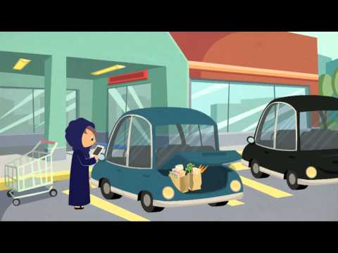 Viper Smart Start - English