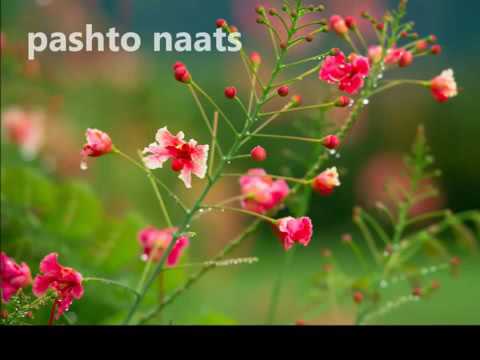 Pashto Urdo mix naat
