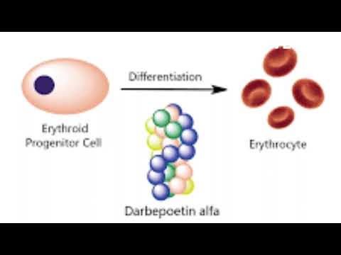 darbepoetin alfa use