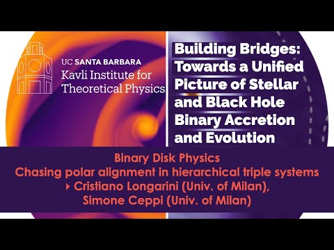Chasing polar alignment in hierarchical... ▸ Cristiano Longarini (UniMi), Simone Ceppi (UniMi)