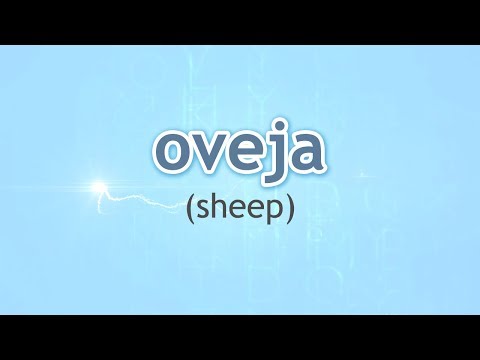 How to Pronounce Sheep (Oveja) in Spanish