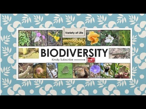 Biodiversity, its types and importance -Genetic diversity, Species diversity and Ecosystem diversity