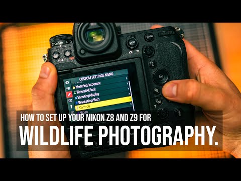Nikon Z8 & Z9: Settings for wildlife photography (1695)