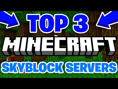 TOP 3 MINECRAFT SKYBLOCK SERVERS! (BEDROCK/JAVA) 1.21.4+ | 2025