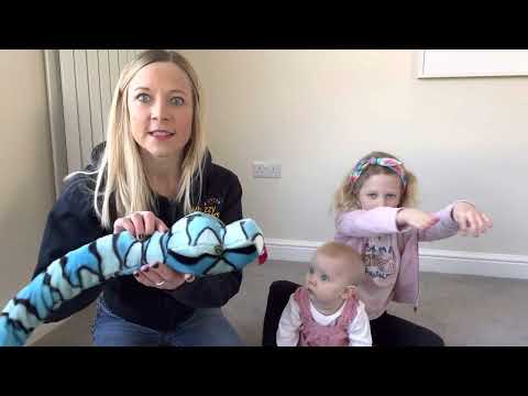 World Book Day - Dear Zoo storytelling with Mrs Whizzy