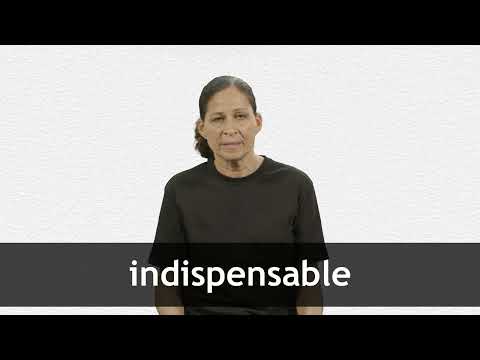 English Translation of “INDISPENSABLE” | Collins French-English Dictionary
