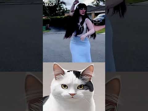 Give this video title #cat #meme #dance