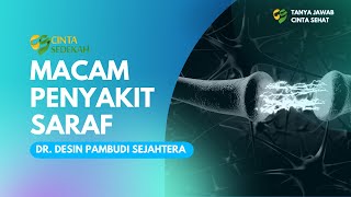 fungsifuzziblog: Fungsi Serabut Saraf Pada Kulit