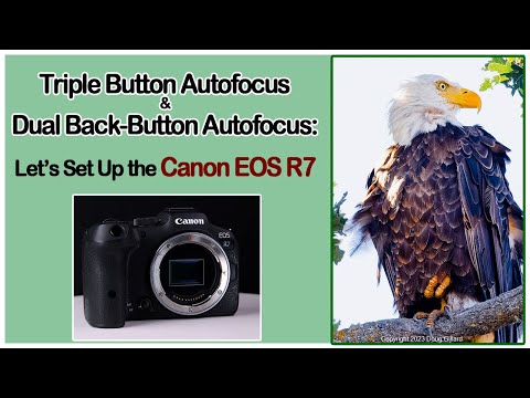 Canon R7: Bird photography autofocus setup (5137C002)