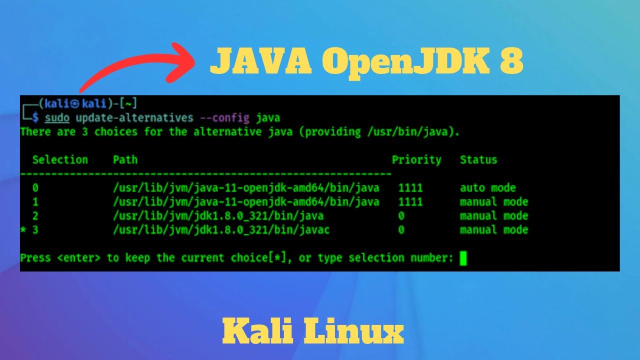 How to Install JAVA OPENJDK 8 on Kali Linux