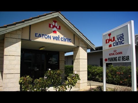 Does my dog need vaccinating every year?