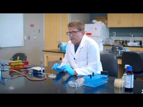 Microbiology: The Etest