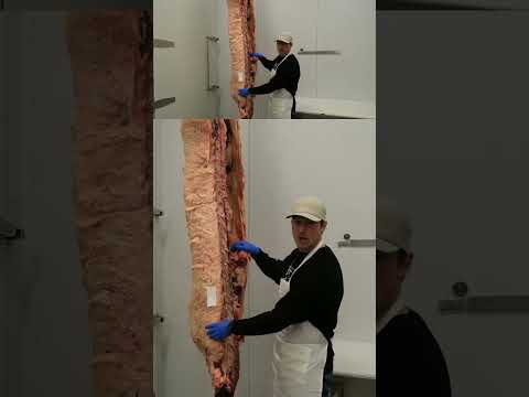 CUT SHEET 101 with Cole at Burdette’s Custom Meats #beef #butcher #meatcuts #shopsmall
