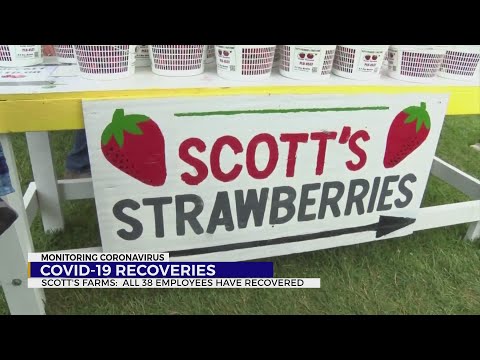 Scott's Strawberry and Tomato Farms: All 38 employees who tested positive for COVID-19 cleared, reco