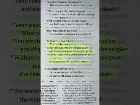 Lunch time verse #jesus #love #bible #scriptureexplained
