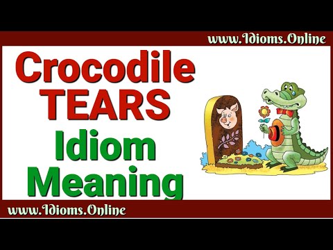 Crocodile Tears Meaning - English Idiom Videos