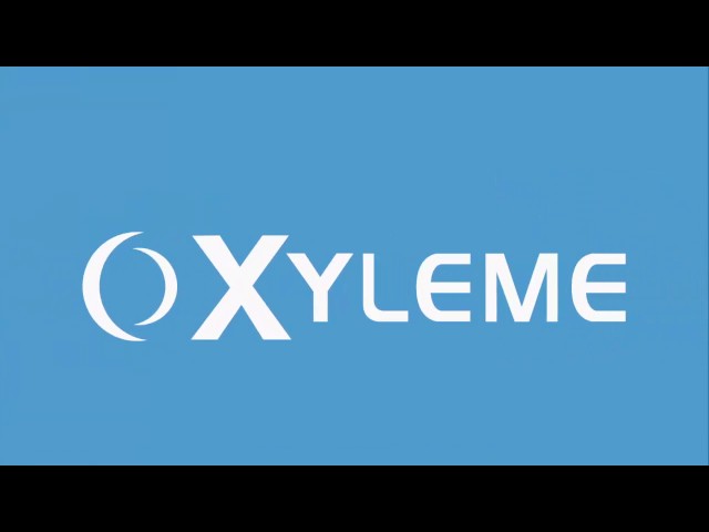 Xyleme