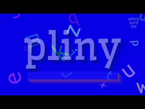 How to say "pliny"! (High Quality Voices)
