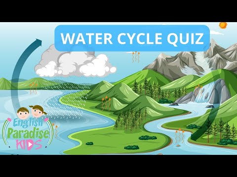 Water Cycle Quiz for Kids