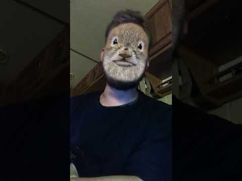 What is woodchuck