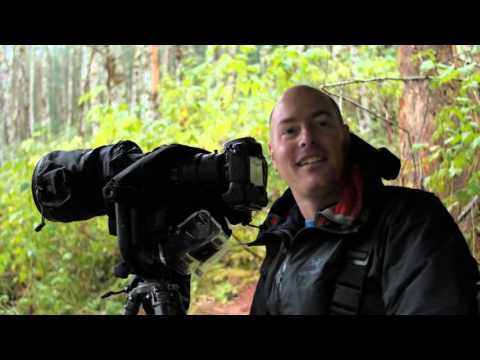 Spirit Bears of the Rainforest Interview with Jason Leo Bantle