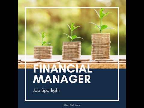 Financial Manager