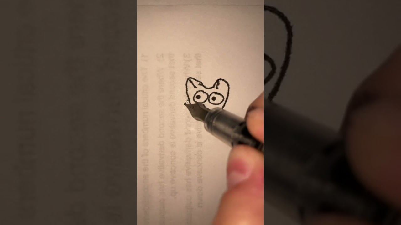Lil Drawing tiktok minhonies
